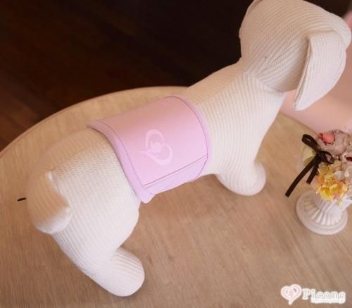ドッググッズ 通販/販売 プードルごはんの Picone(ピコネ) ドッググッズ 通販/販売 プードルごはんの Picone(ピコネ)