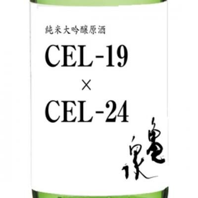 亀泉 かめいずみ 純米大吟醸原酒 CEL-19 x CEL-24 1800ml 高知県 亀泉酒造 日本酒 - 酒楽SHOP