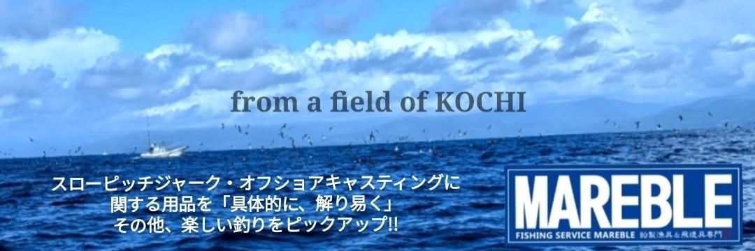 シーフロアコントロール SEIQZ(シーク）S15HR/HL ※次回生産9~10月予定分・ご予約 - FISHING SERVICE MAREBLE